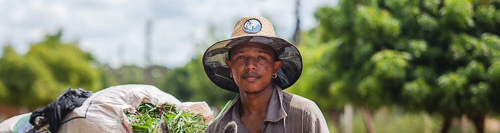 Mimbó | FRM - Fundação Roberto Marinho