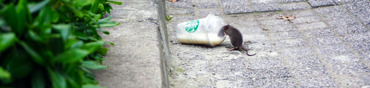 Ciência Para Todos | FRM - Fundação Roberto Marinho